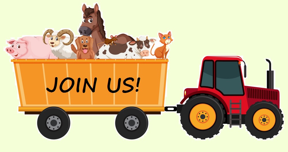 Four E Farms – All natural hay and grassfed beef